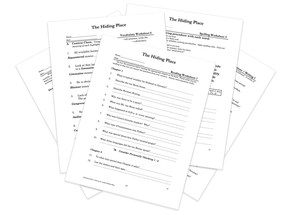 Our First Year Homeschooling: Curriculum Picks - Homeschool Pickle